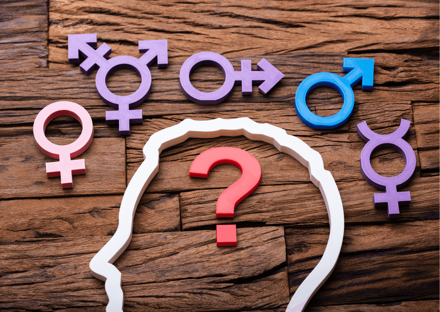 Who determines the sex of the baby in pregnancy