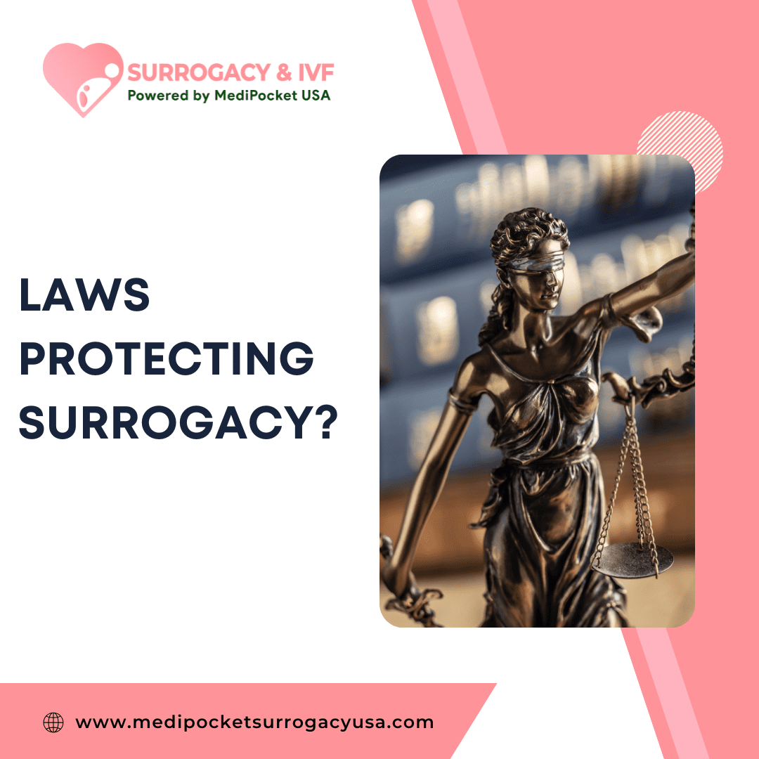 How do laws protect Surrogacy? - Medipocket Surrogacy USA